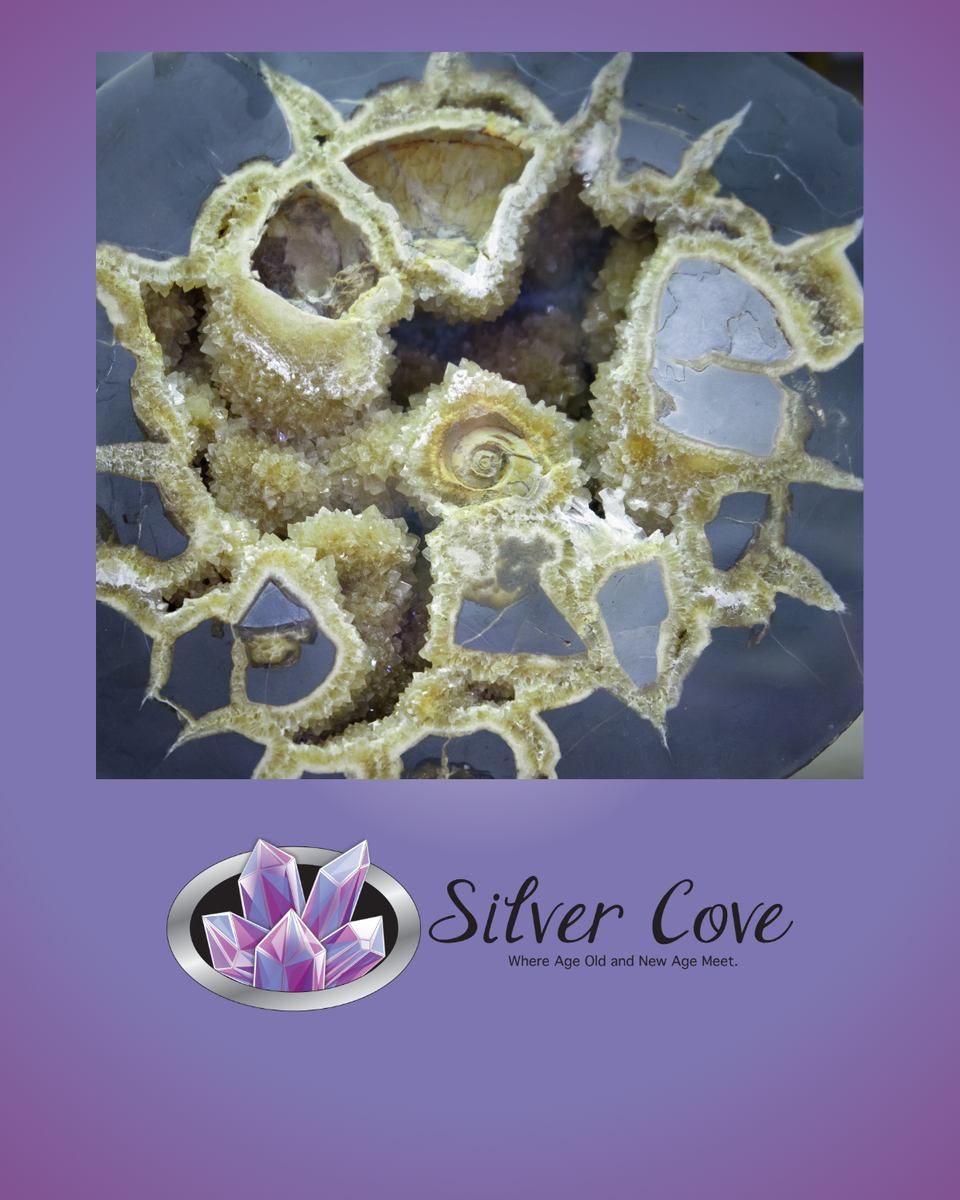 The Beauty and Mystique of Septarian Nodules – Silver Cove Ltd