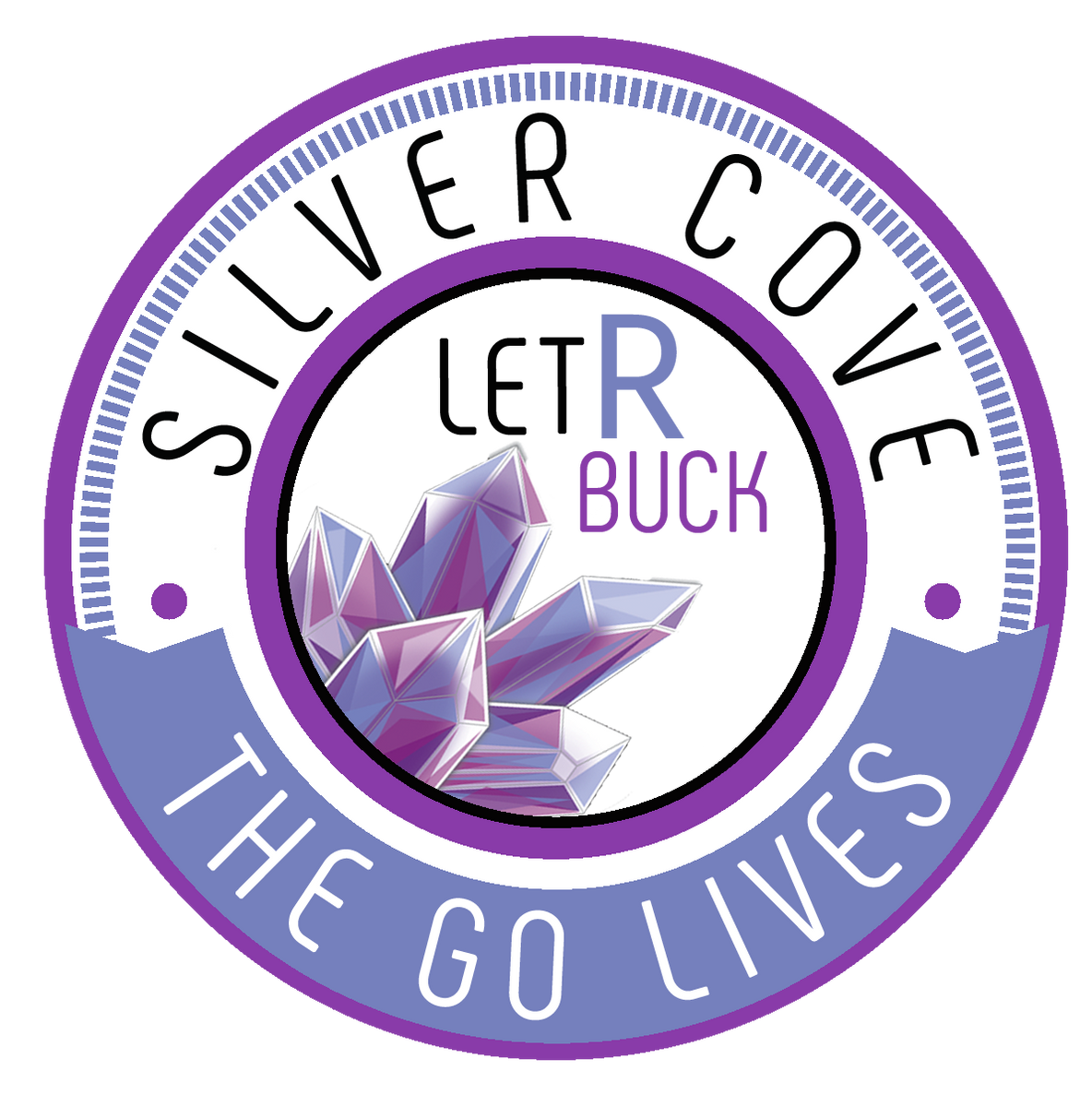 Silver Cove Provides the Ultimate Go-Live Experience – Silver Cove Ltd