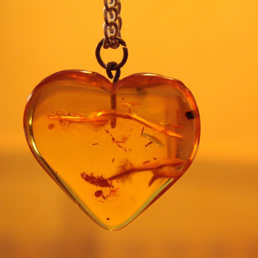 Unlocking the Mysteries of Amber: A Window into Earth's History ...