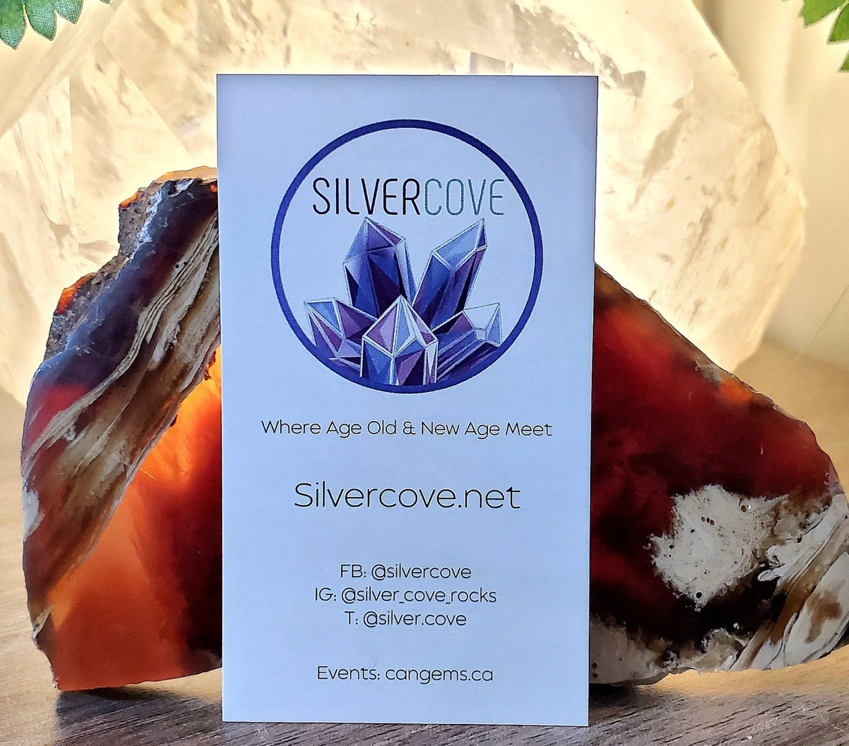Amber slab – Silver Cove Ltd