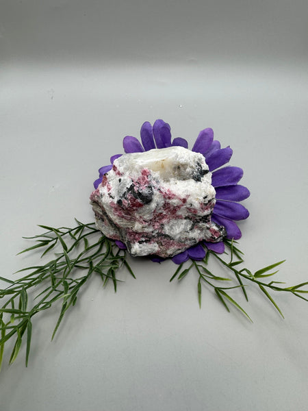 Eudialyte Specimen – Silver Cove Ltd