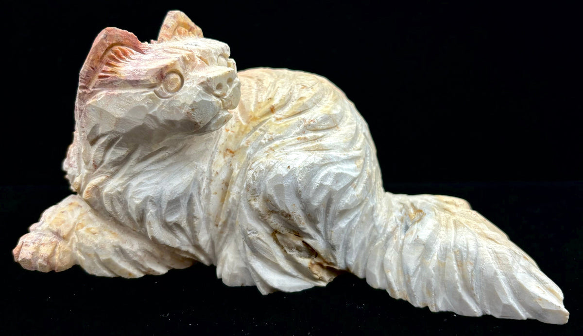 Fossilized Coral Cat Carving – Silver Cove Ltd