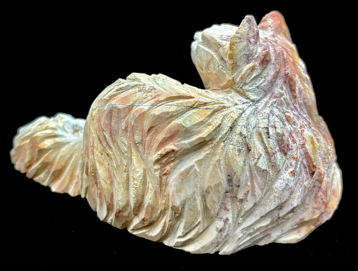 Fossilized Coral Cat Carving – Silver Cove Ltd