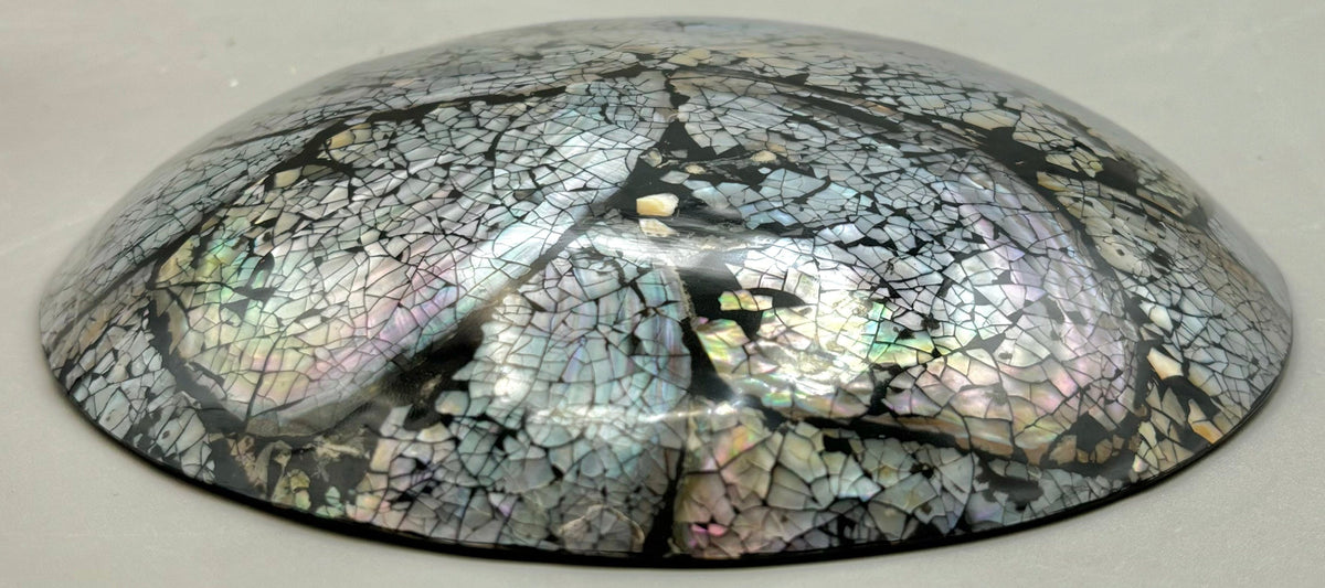 Australian Abalone Shell Plate (Small) – Silver Cove Ltd Online