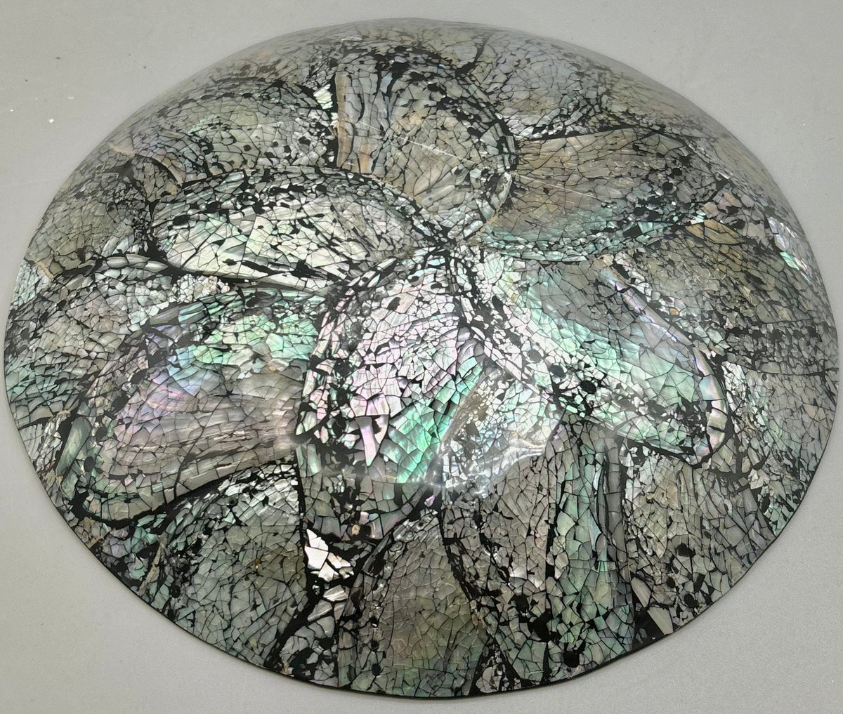 Australian Abalone Shell Plate (Medium) – Silver Cove Ltd Online