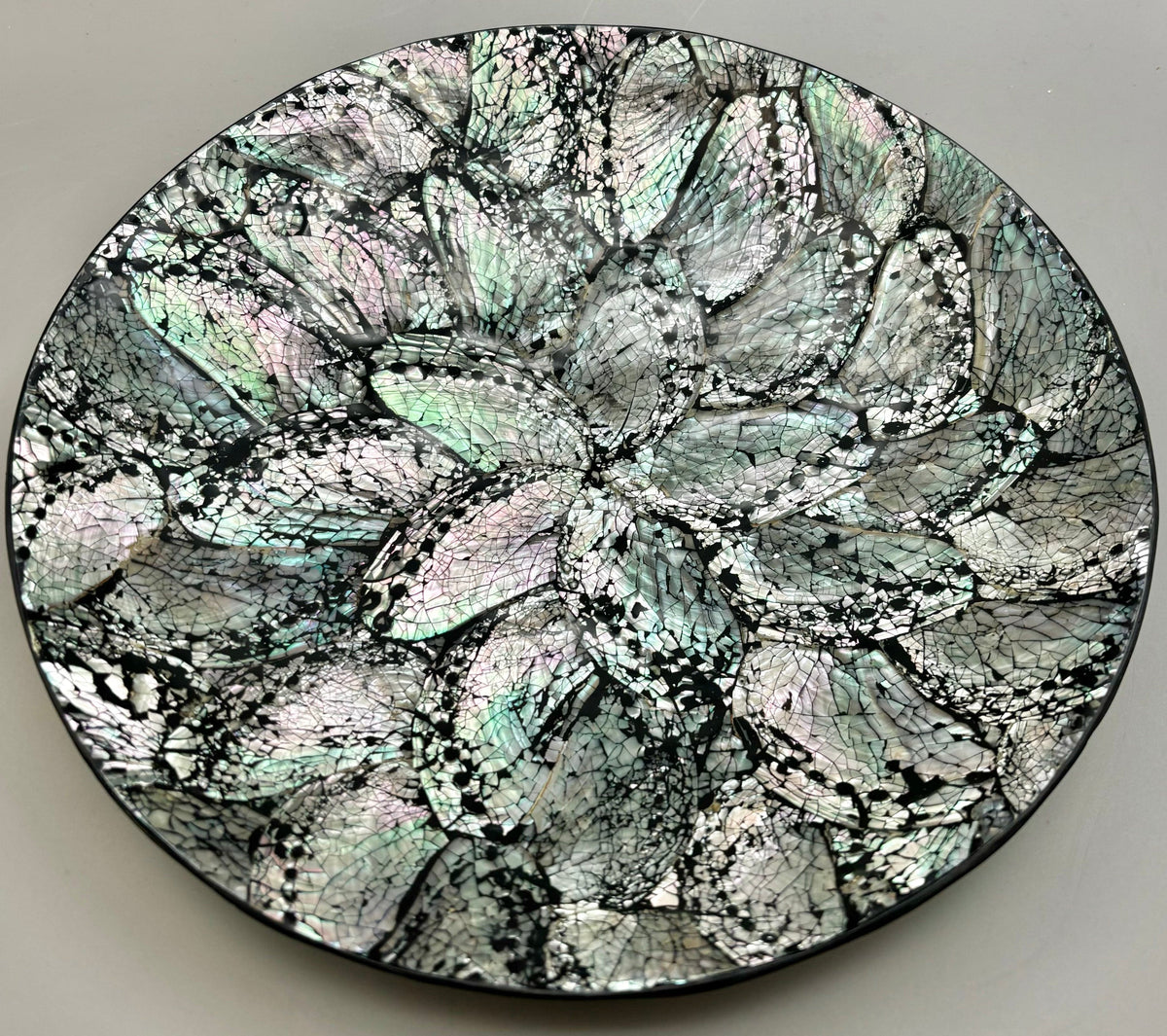 Australian Abalone Shell Plate (Large) – Silver Cove Ltd