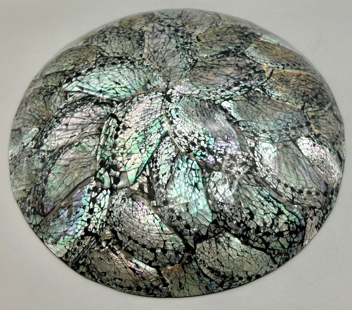 Australian Abalone Shell Plate (Large) – Silver Cove Ltd