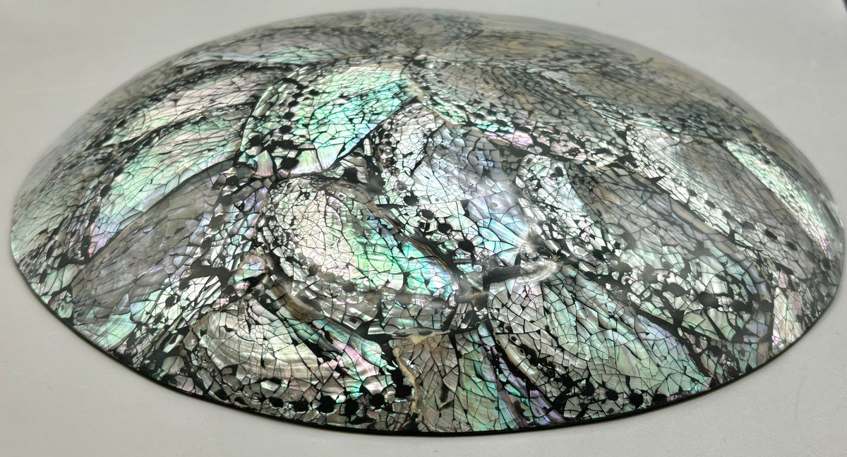 Australian Abalone Shell Plate (Large) – Silver Cove Ltd