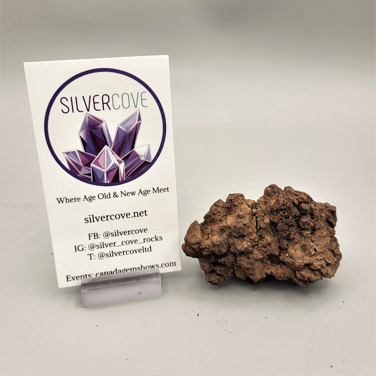 Coprolite Specimen – Silver Cove Ltd