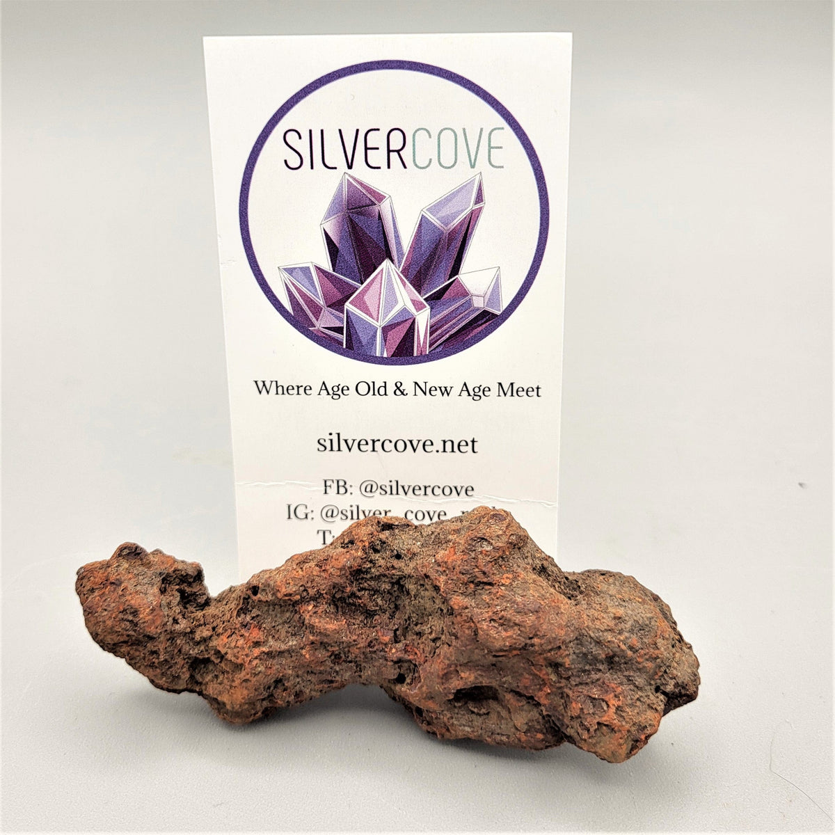 Coprolite Specimen – Silver Cove Ltd