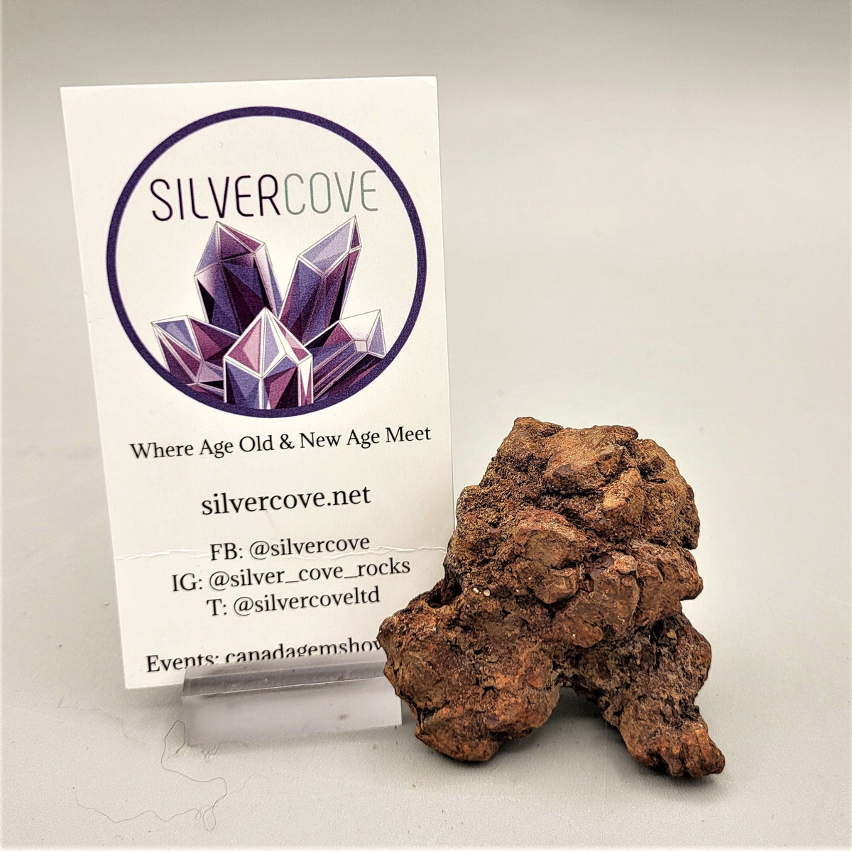 Coprolite Specimen – Silver Cove Ltd