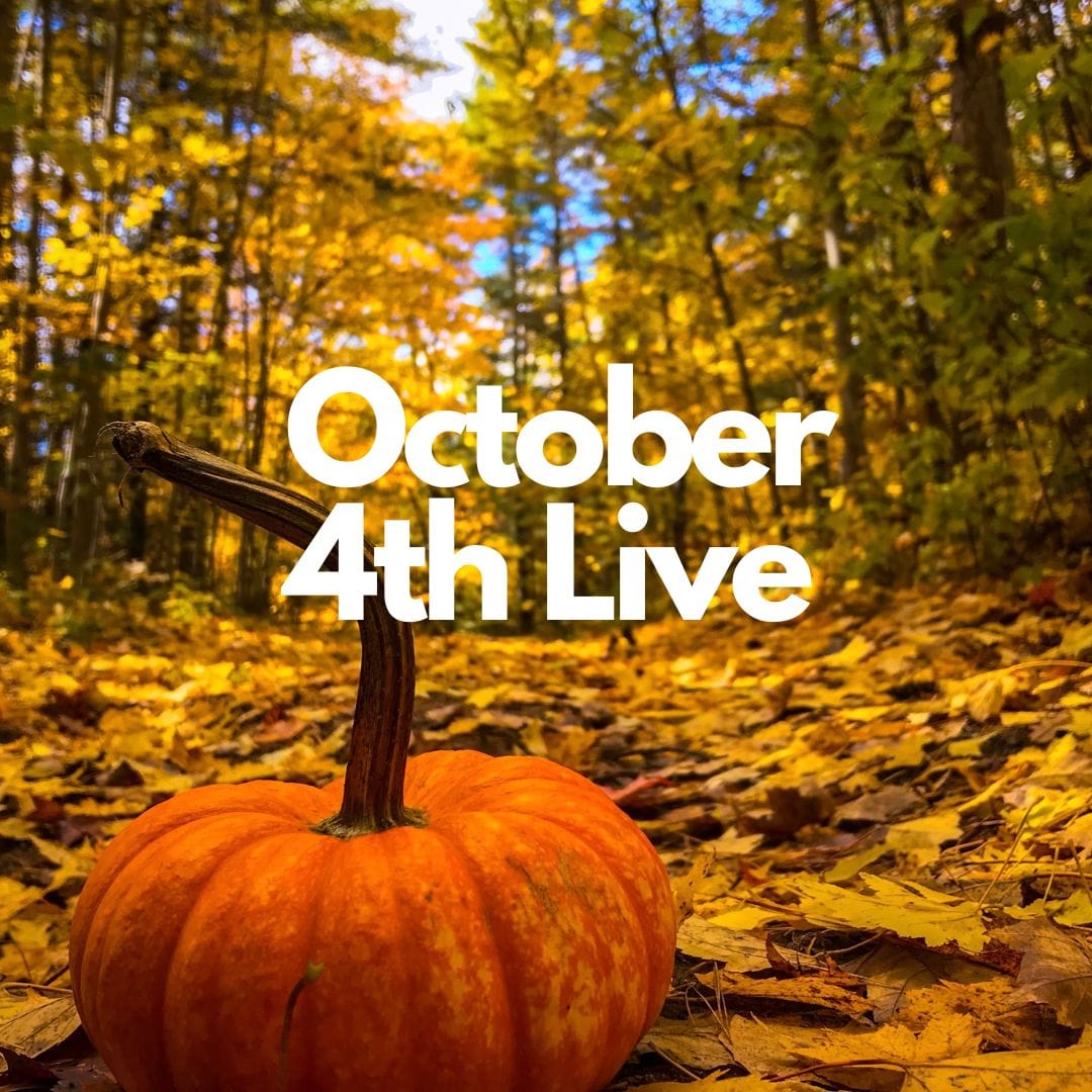 15521 October 4th Live 2022 – Silver Cove Ltd